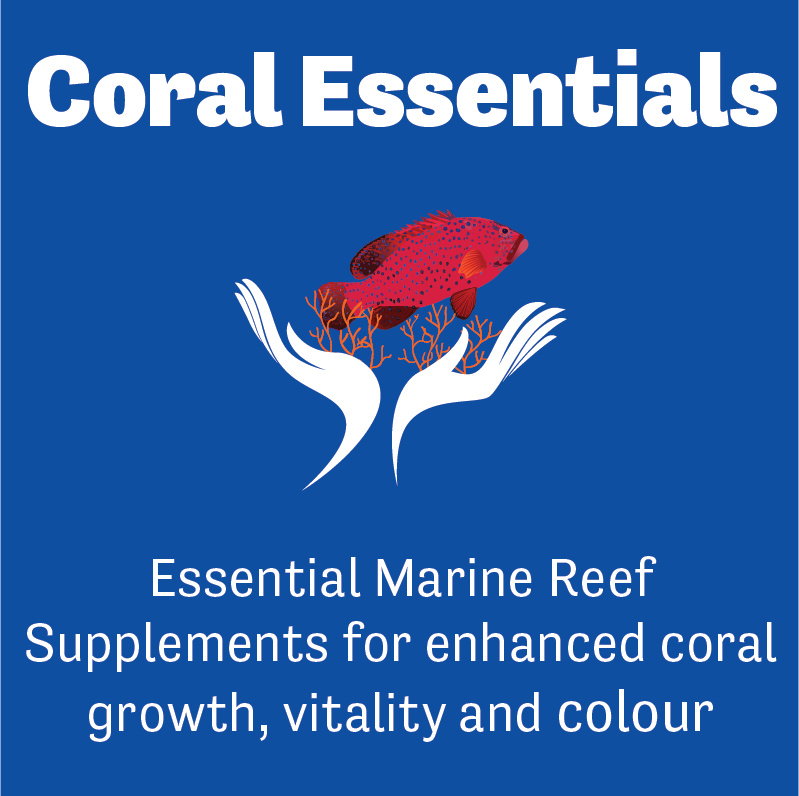 Coral Essentials – Aquarium Gallery