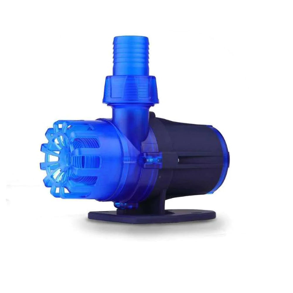 Dalua Return Pumps – Aquarium Gallery