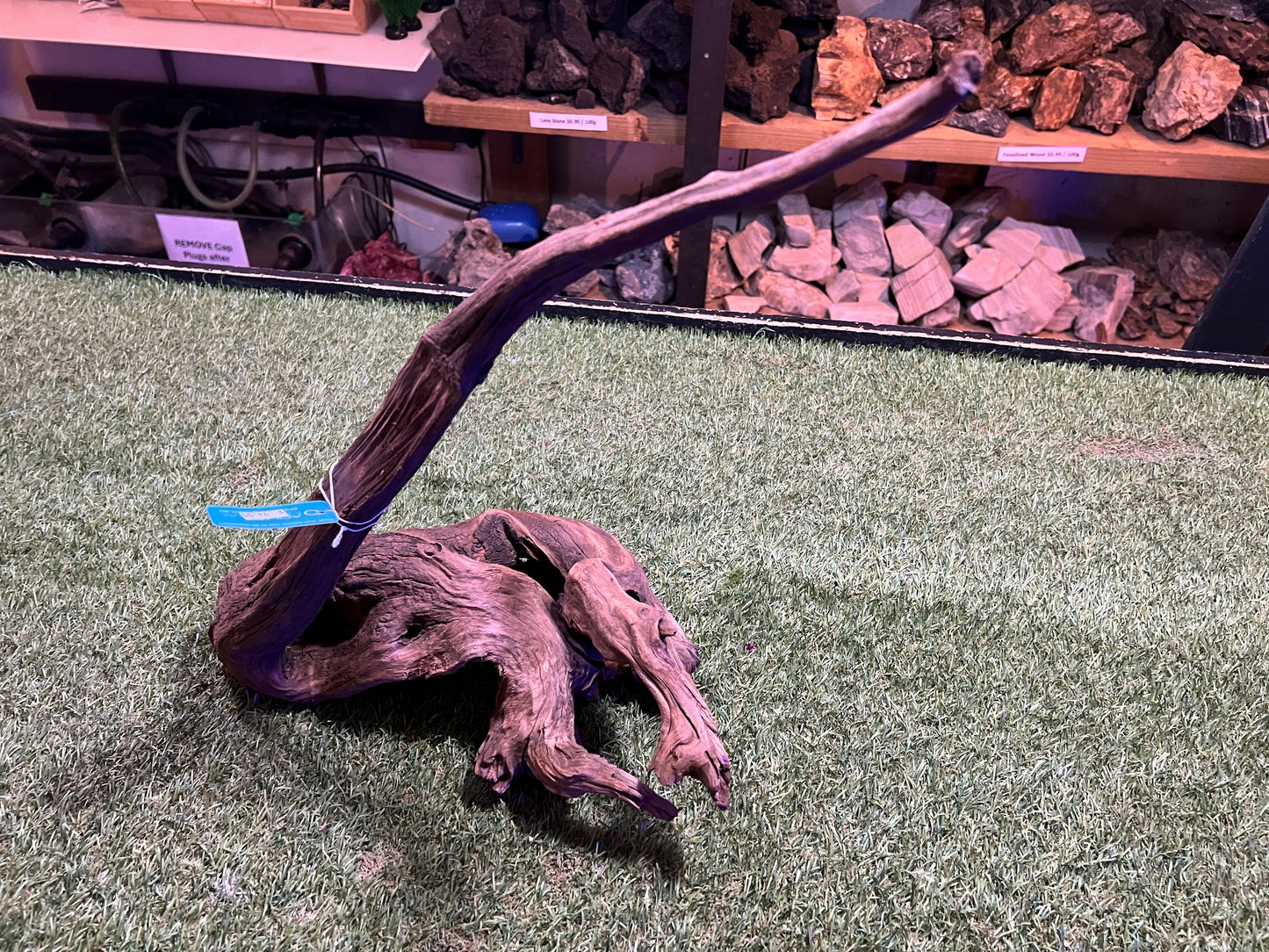 Mekong River Bog Wood – Aquarium Gallery