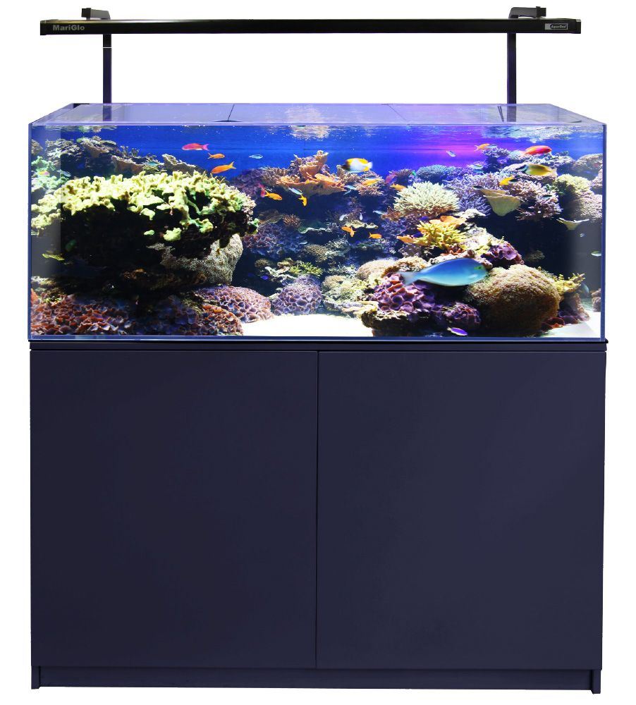 Aqua One MiniReef 215 Marine Set 215L – Aquarium Gallery