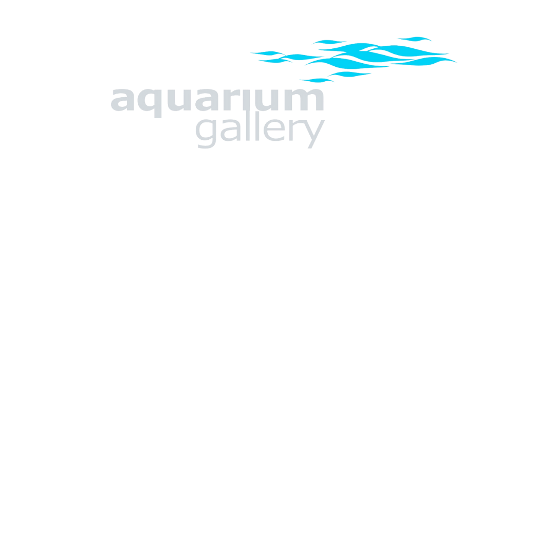 Ambulia (Limnophilia sessiliflora) – Aquarium Gallery