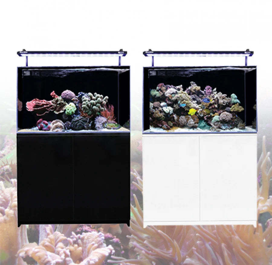 Aqua One MiniReef 160 Marine Set 160L – Aquarium Gallery