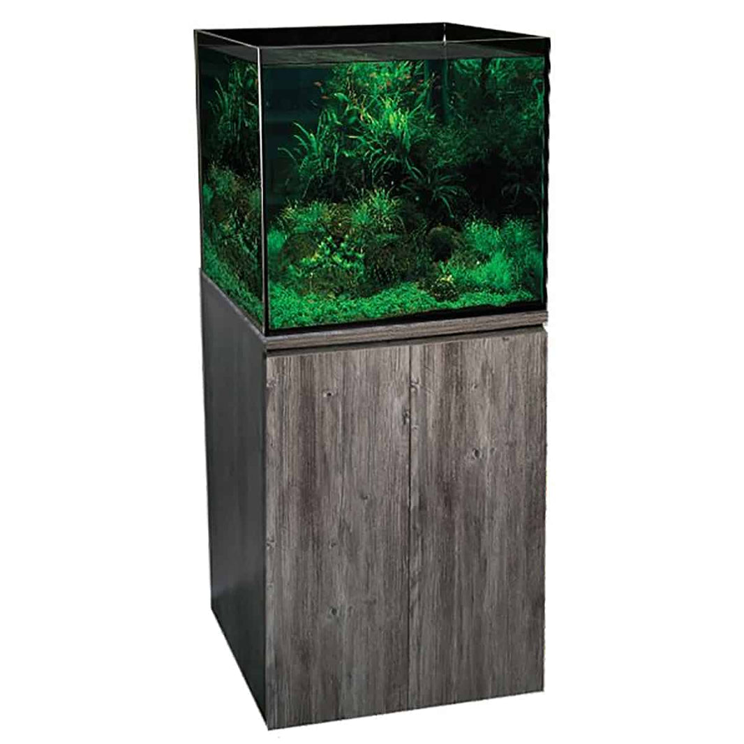 Aqua One Tanks – Aquarium Gallery
