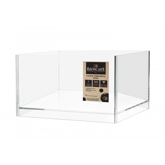 Bioscape Aquariums – Aquarium Gallery