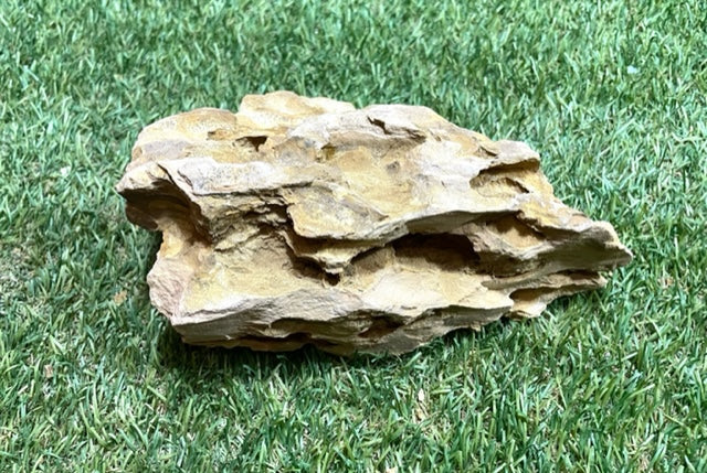 Freshwater Rocks and Wood – Aquarium Gallery